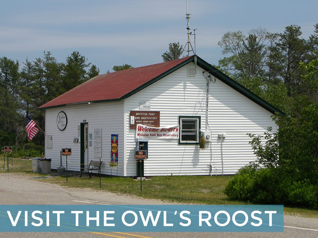 Shop – Whitefish Point Bird Observatory